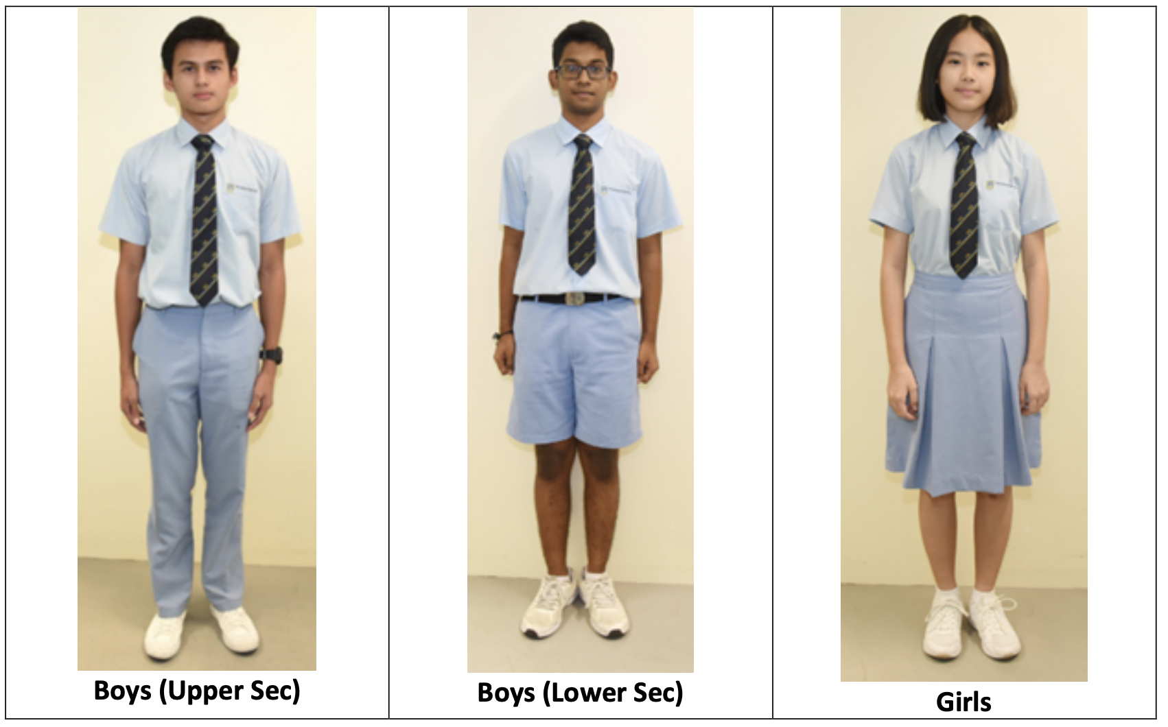 School Expectations (Rules)